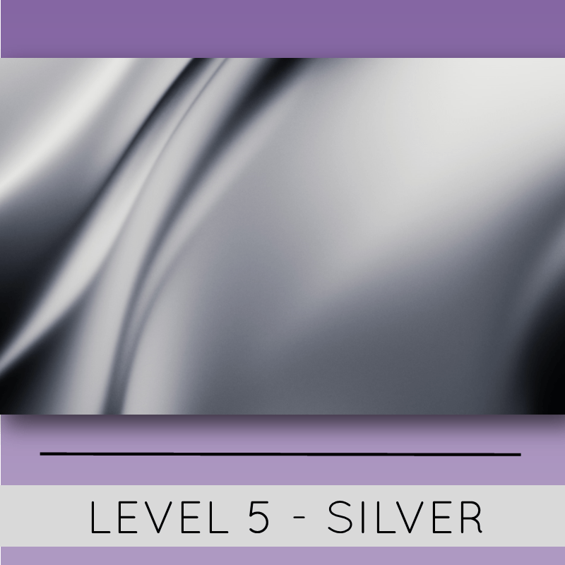 Level 5 package – Silver – Life’s Tutoring